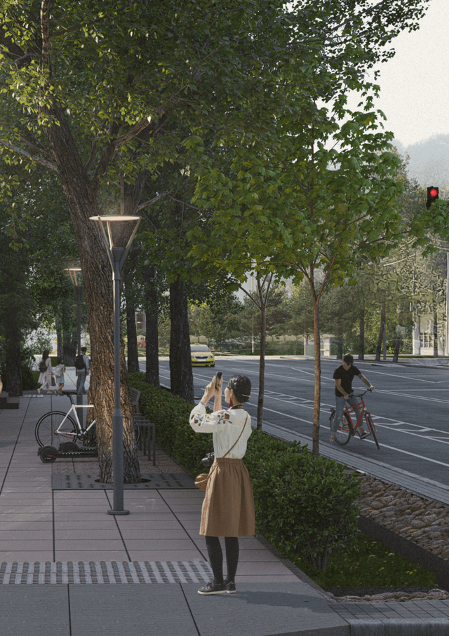 Atlas | Global Practice