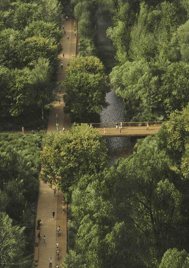 Atlas | Global Practice